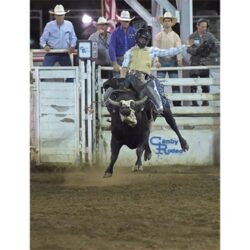 What Is Rodeo? | Canby Rodeo